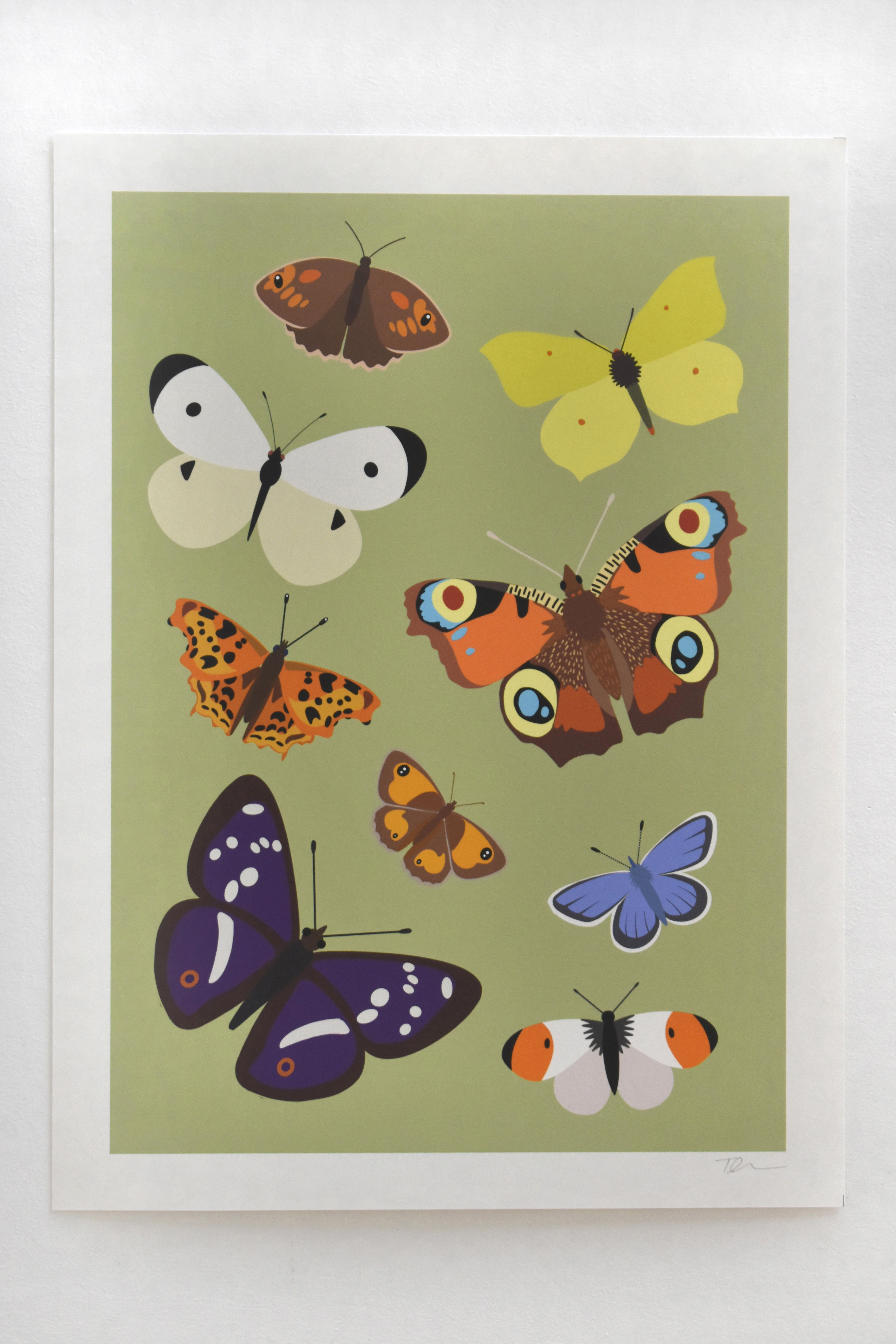 Lepidoptery - Project Ability