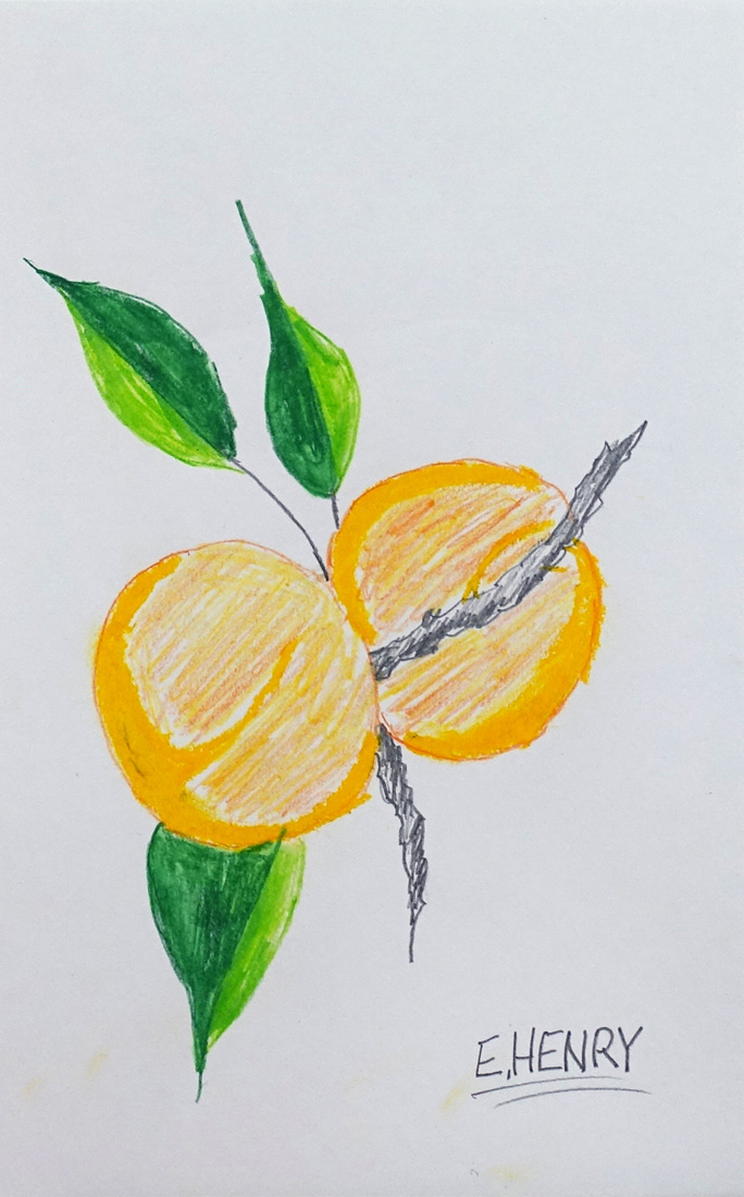 Edward Henry in Lockdown - Project Ability