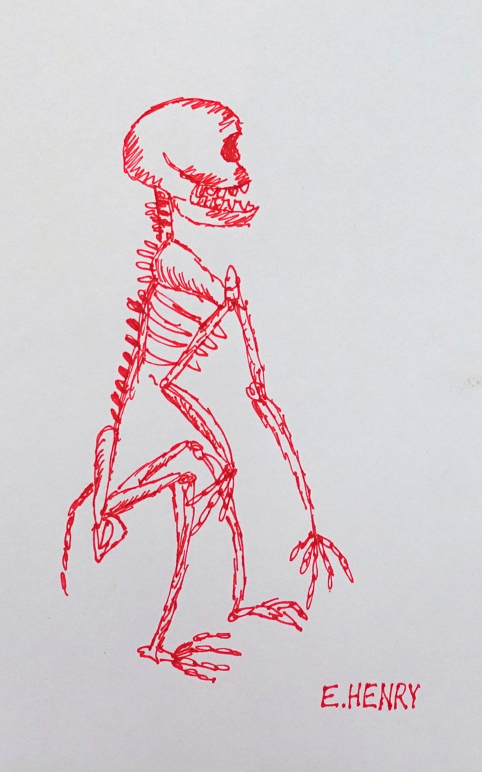 Edward Henry in Lockdown - Project Ability