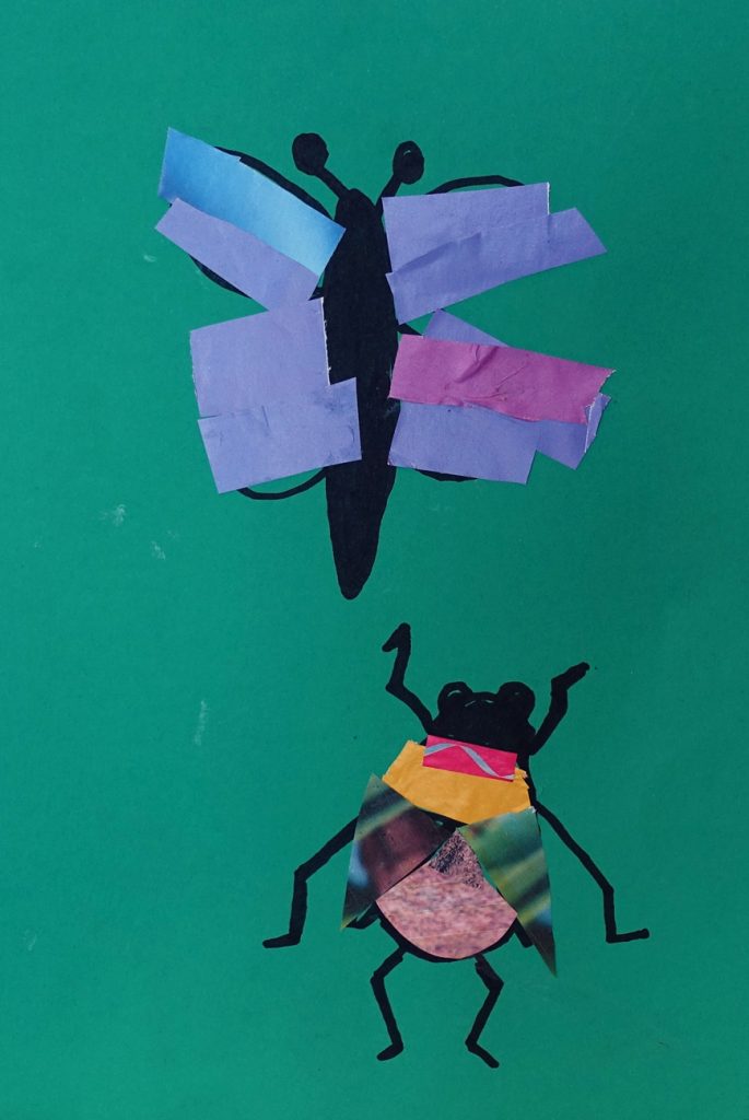 Artwork of the Week - Bug Collages by Catherine Rankine! - Project Ability