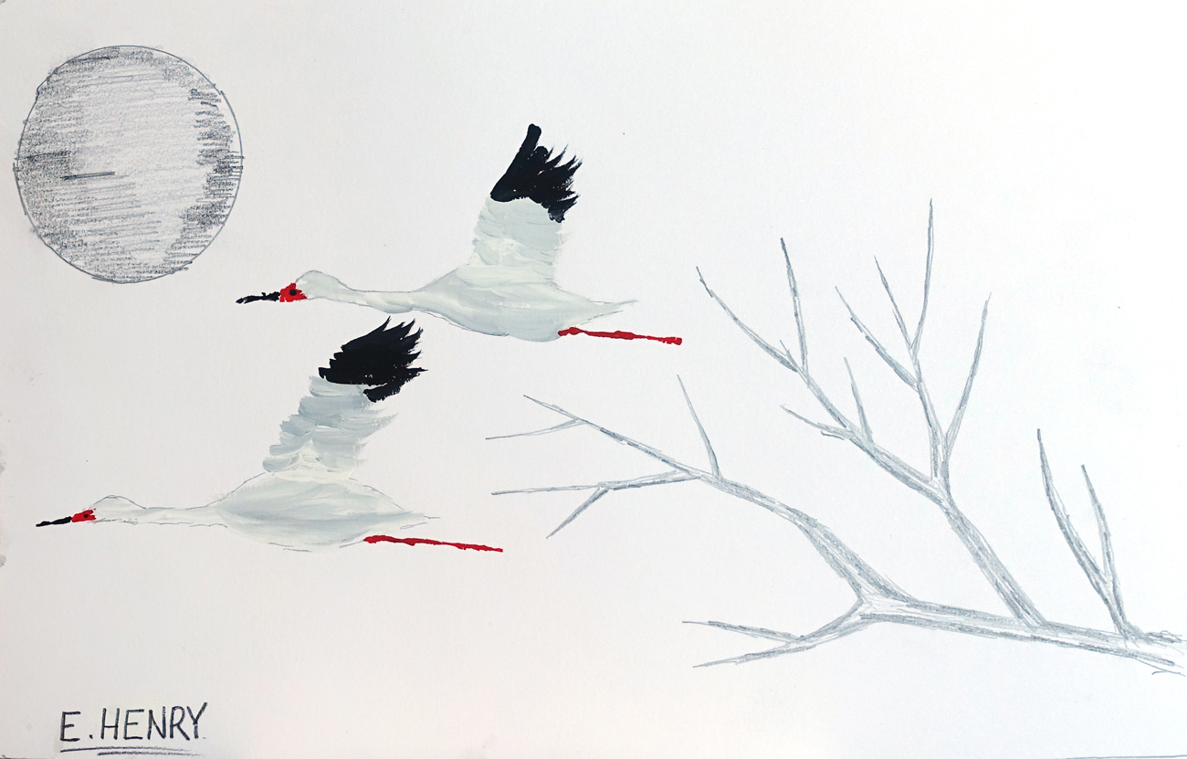 Edward Henry in Lockdown - Project Ability