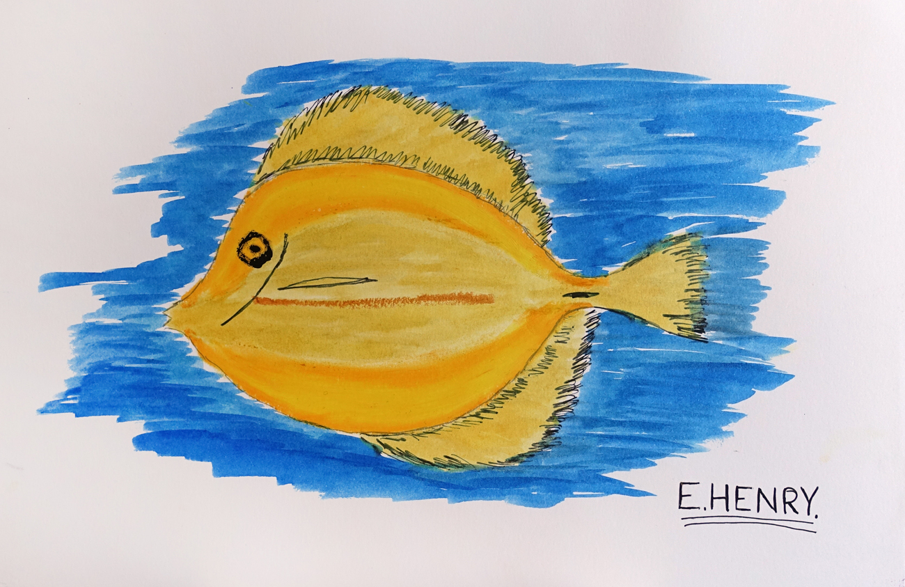 Edward Henry in Lockdown - Project Ability